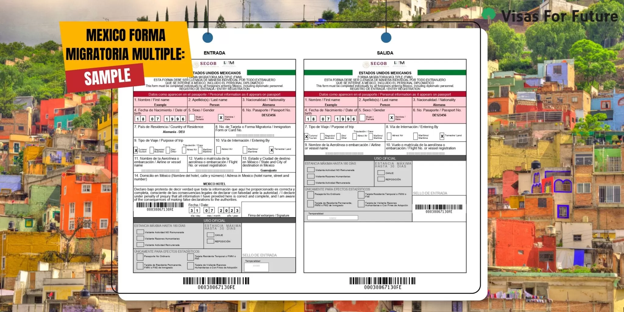 How to Apply for Mexico Forma Migratoria Multiple online - Visas For Future